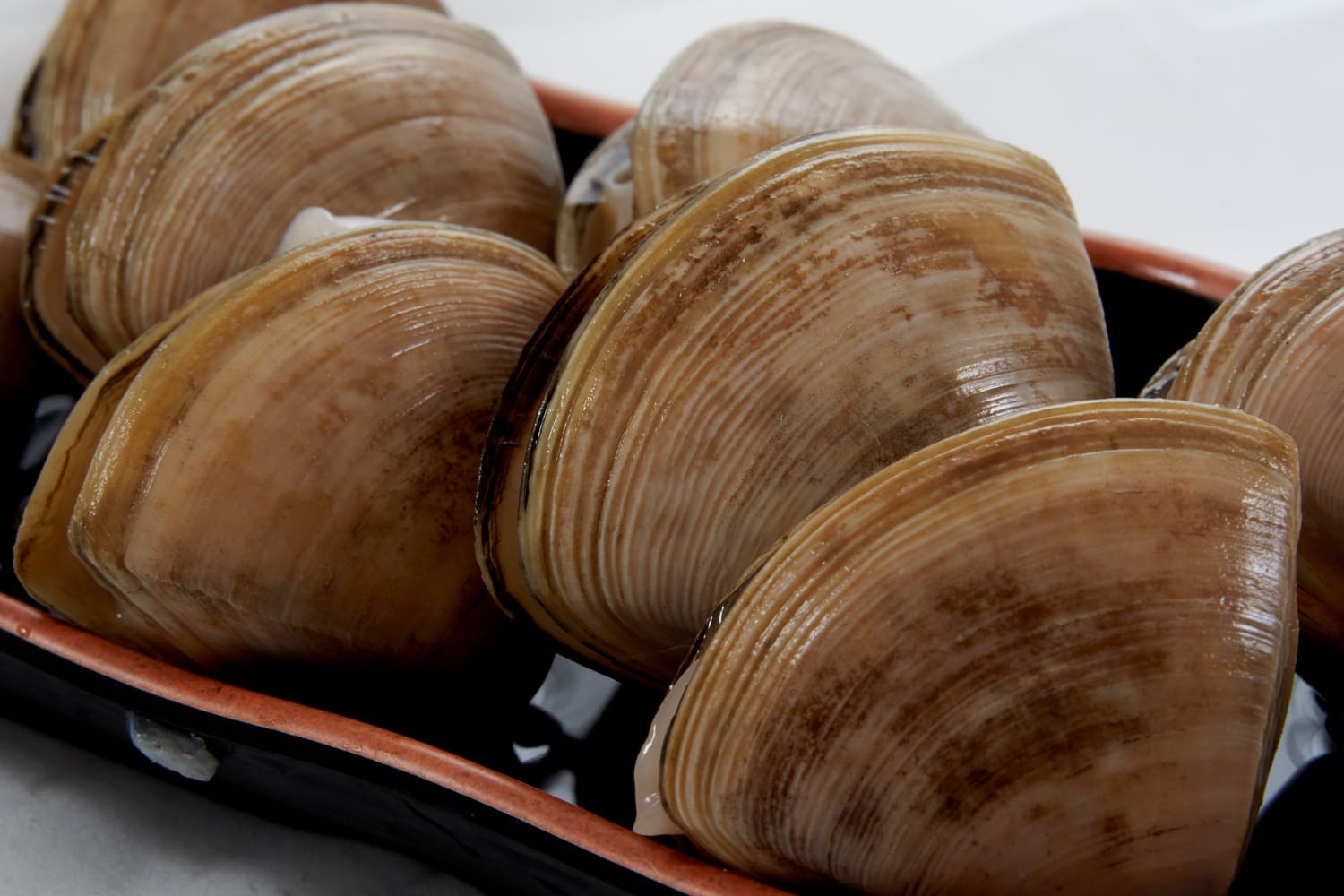 Diamond Clam – GUANGZHOU HOT POT