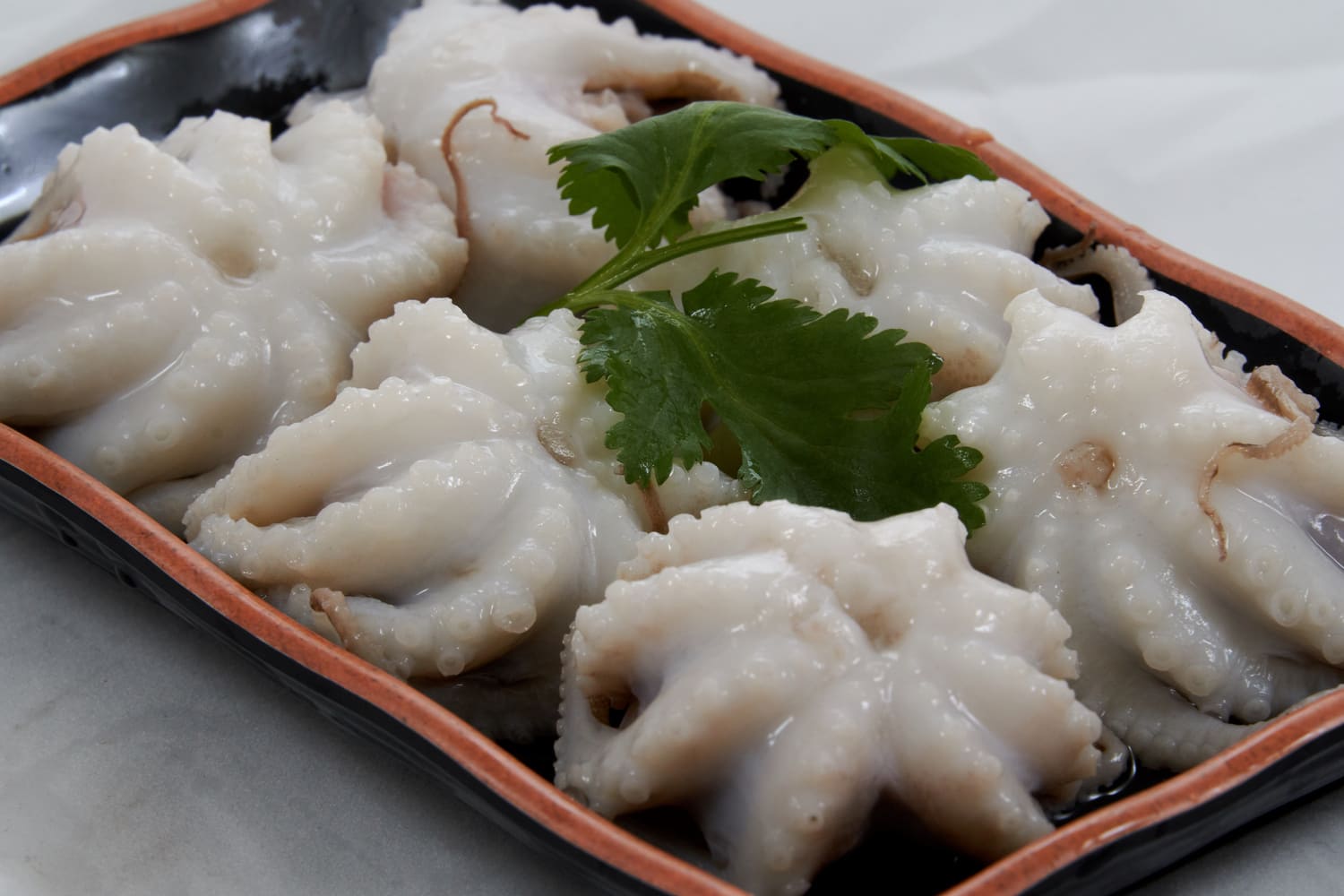 Octopus – GUANGZHOU HOT POT