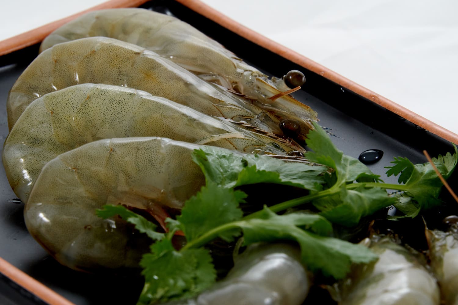 Whole Shrimp – GUANGZHOU HOT POT